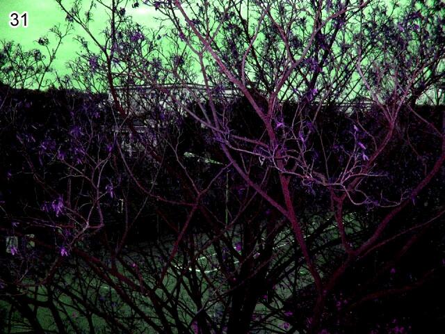 notpron正常关全解析（一） - 哔哩哔哩