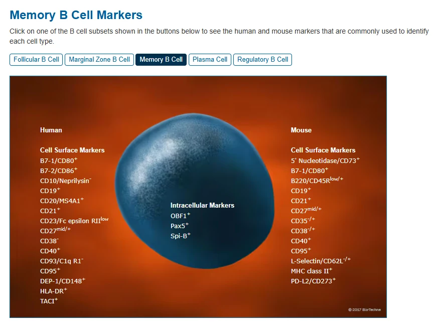 如何快速找到某个细胞最具代表性的marker（标志物）？ - 哔哩哔哩