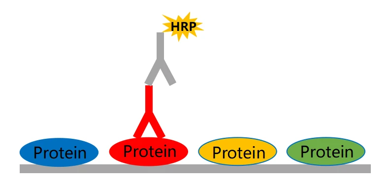 WB最全操作详解+64个问题分析，看完少走90%弯路！ - 哔哩哔哩