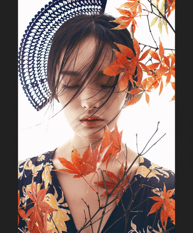 PS调色滤镜插件，内置676款滤镜，Vsco全滤镜ps插件，支持Win/Mac系统 - 哔哩哔哩