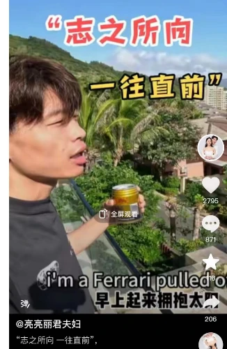 亮亮丽君夫妇不为人知的另一面（V1.7最终版） - 哔哩哔哩