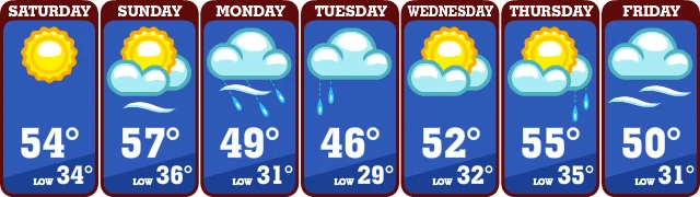 【AI翻译】Flipline新闻简报第一卷第三期 - 哔哩哔哩