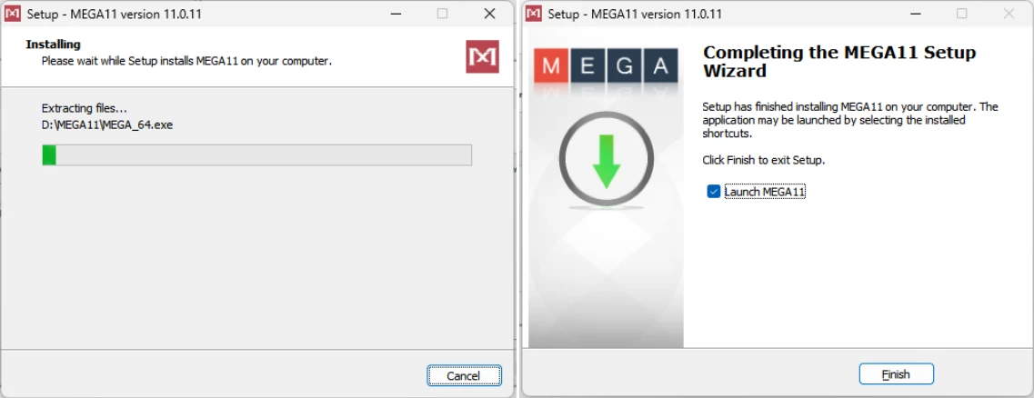 如何使用MEGA 11完成多序列比对和系统发育树构建图？ - 哔哩哔哩
