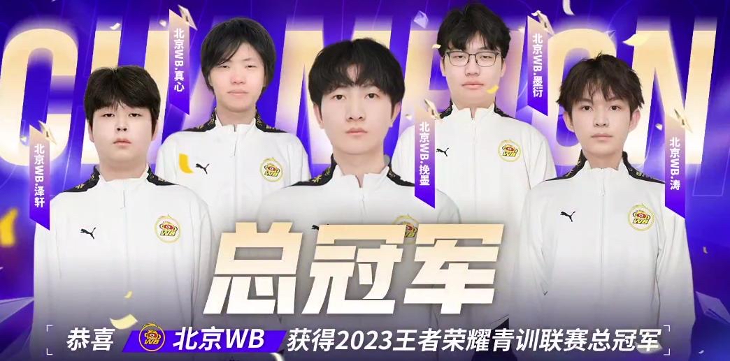 KPL最强青训诞生！WB4-3RW夺冠：巅峰对决群魔乱舞，射手获得FMVP - 哔哩哔哩