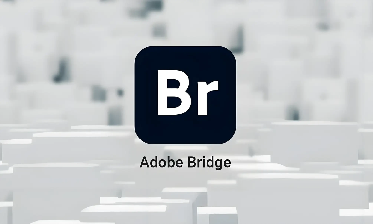 Adobe Bridge(BR)官网完整版网盘下载安装教程 - 哔哩哔哩