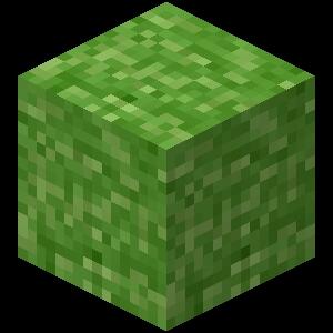 MINECRAFT WIKI-草方块 - 哔哩哔哩
