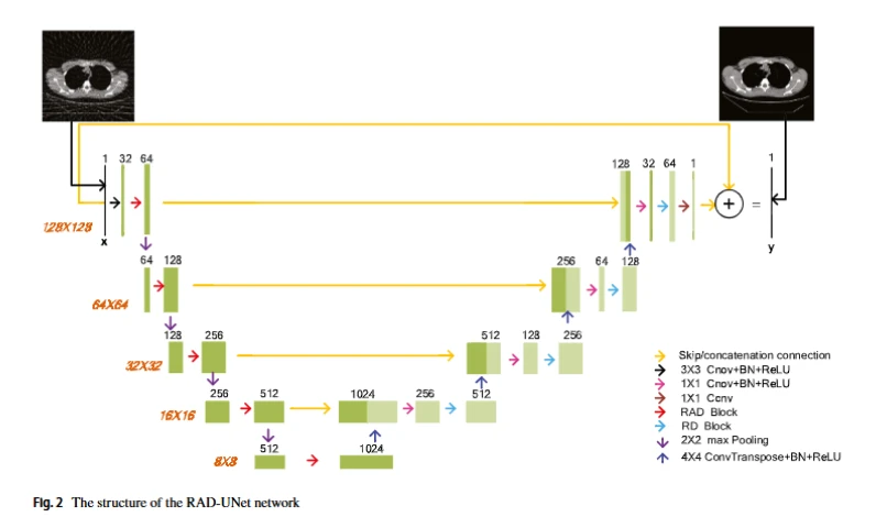 又登Nature！UNet这些改进思路不要太好用！ - 哔哩哔哩