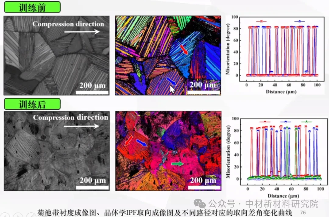 科研人这么拍EBSD图，论文不接收都难！——材料表征|EBSD应用 - 哔哩哔哩