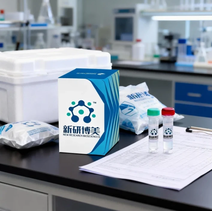 Peridinin-Chlorophyll-Protein Complex-WGA 可用于 细胞标记 - 哔哩哔哩