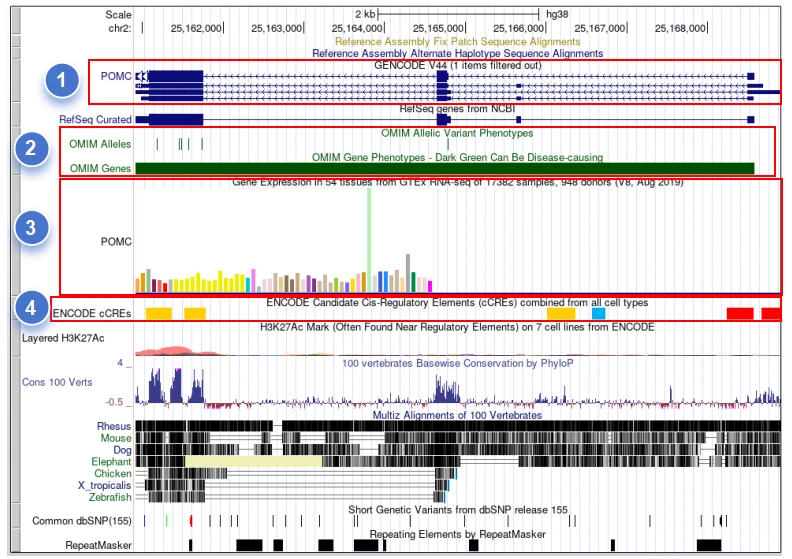 常用网站介绍|基因宝库之UCSC篇（二） - 哔哩哔哩
