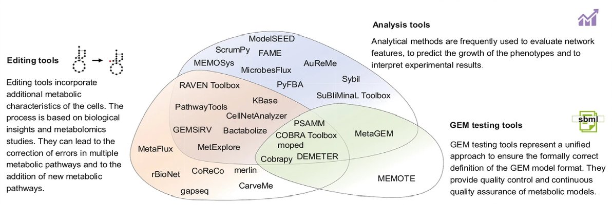 揭秘微生物社区的“社交网络”：基因组规模代谢模型(GEMs)的新前沿 - 哔哩哔哩