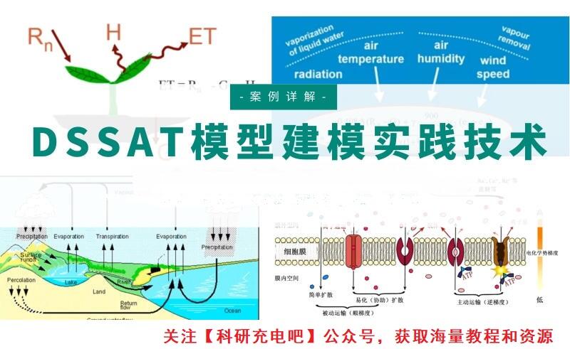 作物模型新篇：DSSAT、APSIM、WOFOST与PCSE共绘农业智能新蓝图！ - 哔哩哔哩