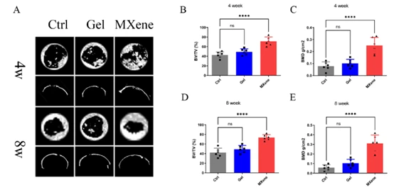 Mo2Ti2C3 MXene基水凝胶修复中神经形成和骨再生能力 - 哔哩哔哩