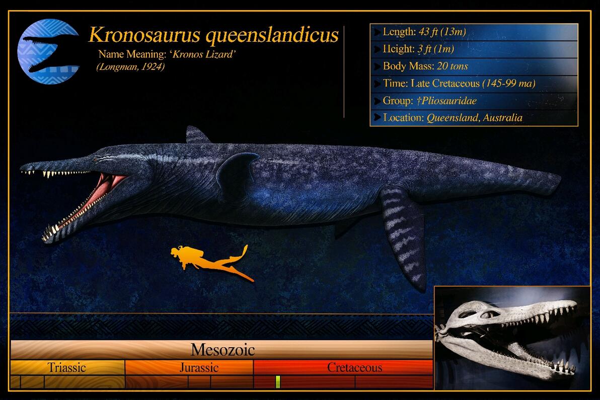 分享古生物图片（第三十三期） - 哔哩哔哩