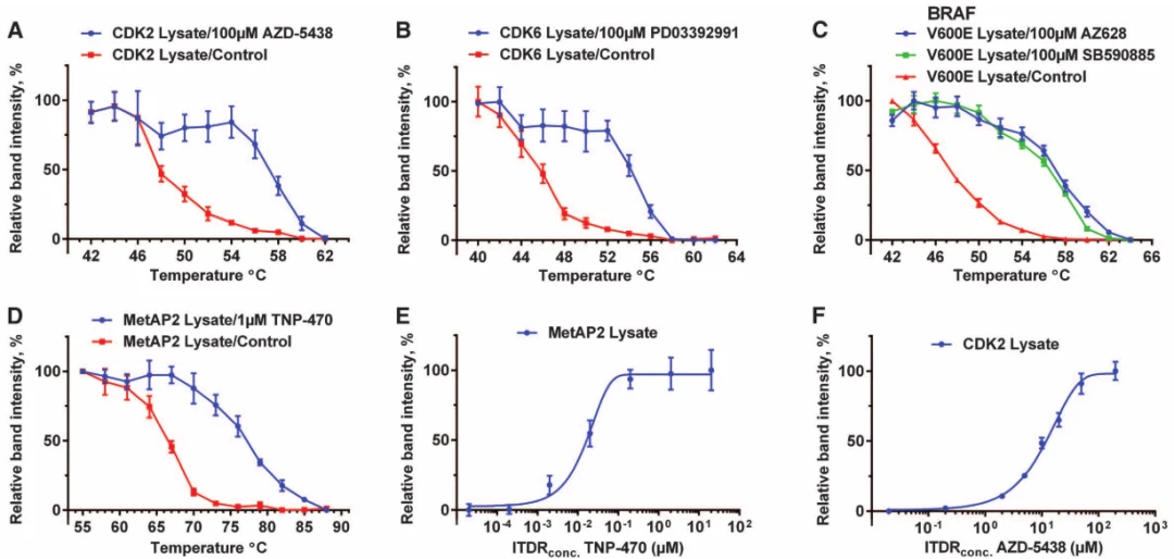 精准高效的药物靶点验证实验——CETSA，技术原理是什么？ - 哔哩哔哩