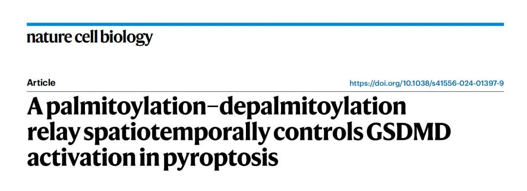 Sci Immunol + Nat Cell Biol二连发 | 棕榈酰化调控细 - 哔哩哔哩