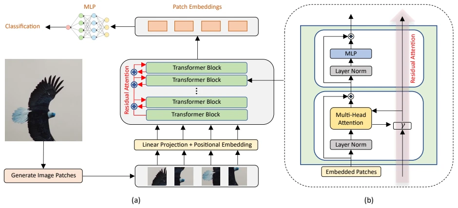 ViT再升级！9个视觉transformer最新改进方案让性能飞跃 - 哔哩哔哩