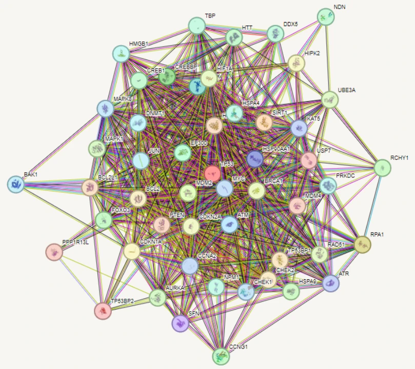 手把手教学｜String数据库与Cytoscape软件联合应用 - 哔哩哔哩