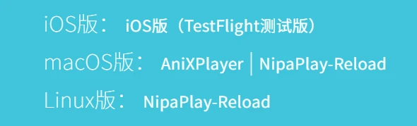 本地弹幕播放器，NipaPlay软件体验 - 哔哩哔哩