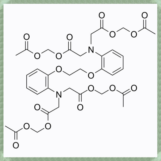 BAPTA AM,Calcium Chelator钙螯合剂，常见问题和解决方法 - 哔哩哔哩