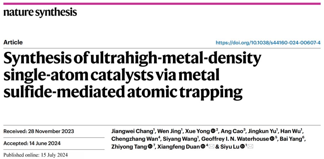 郑大卢思宇/段镶锋，发表Nat. Synth.！造出“最牛”单原子催化剂 - 哔哩哔哩