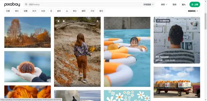 无水印视频素材一般在哪里下载？5个优质素材网站推荐 - 哔哩哔哩