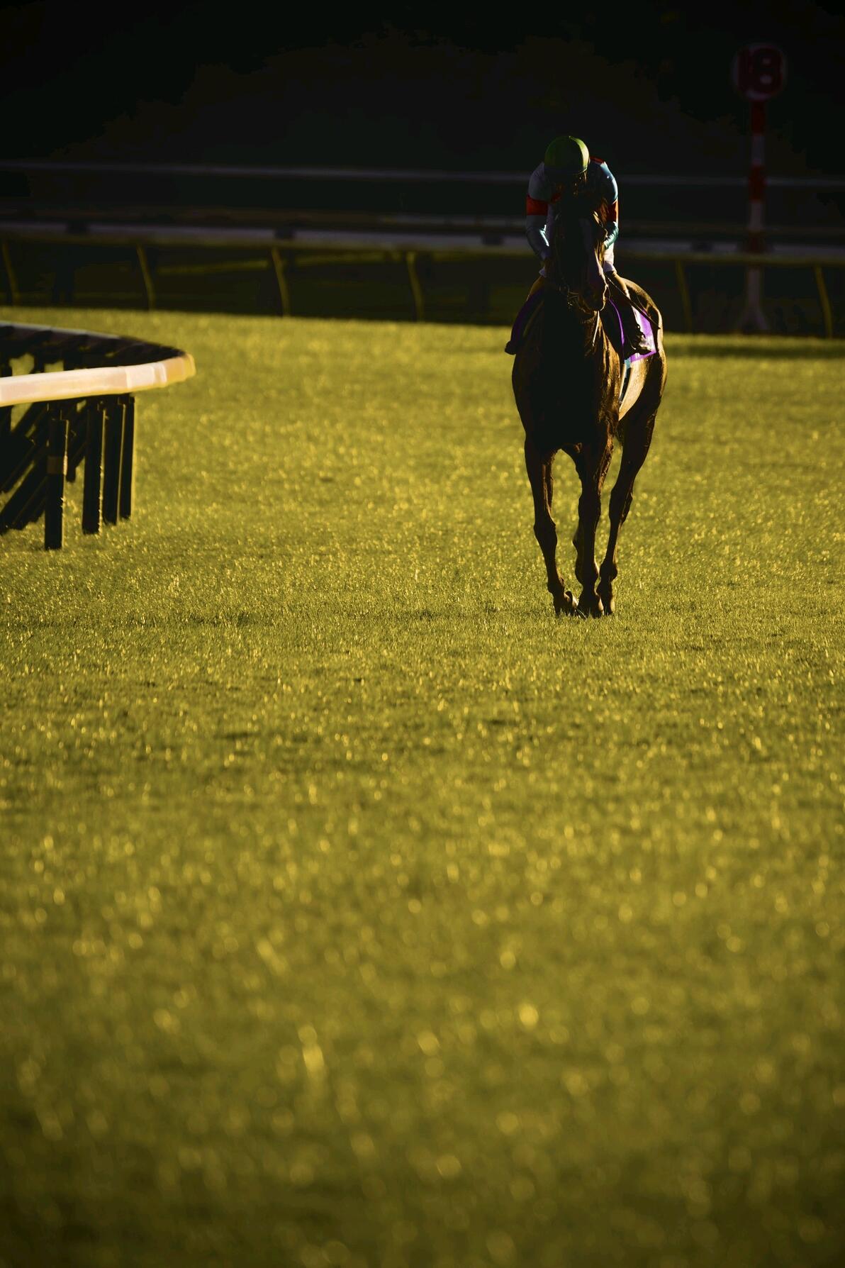 【赛马娘同人汉化】Titan of the World's Turf——春秋分 - 哔哩哔哩