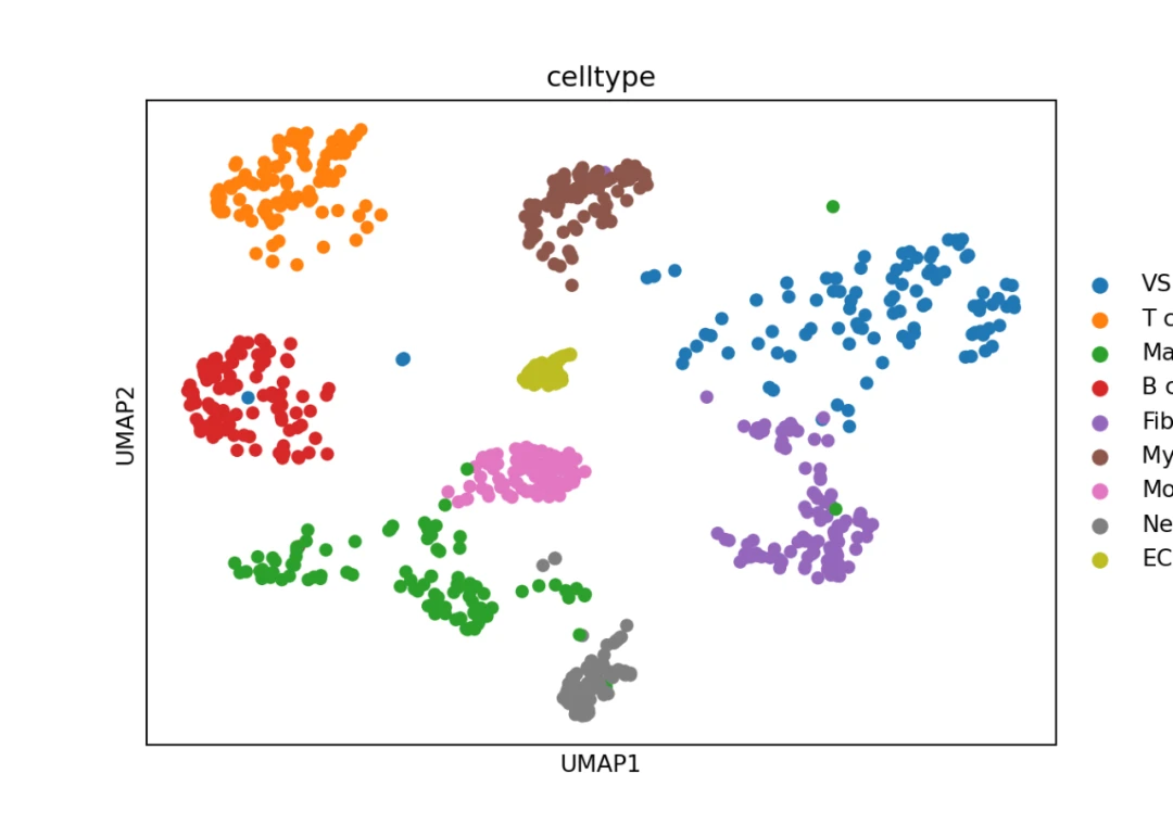 Seurat与Scanpy的数据转换 - 哔哩哔哩