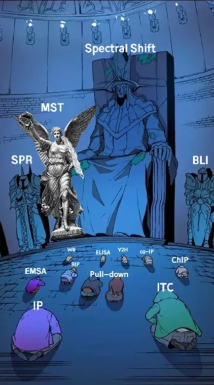 MST 分子互作技术同门力作：光谱位移 Spectral Shift - 哔哩哔哩