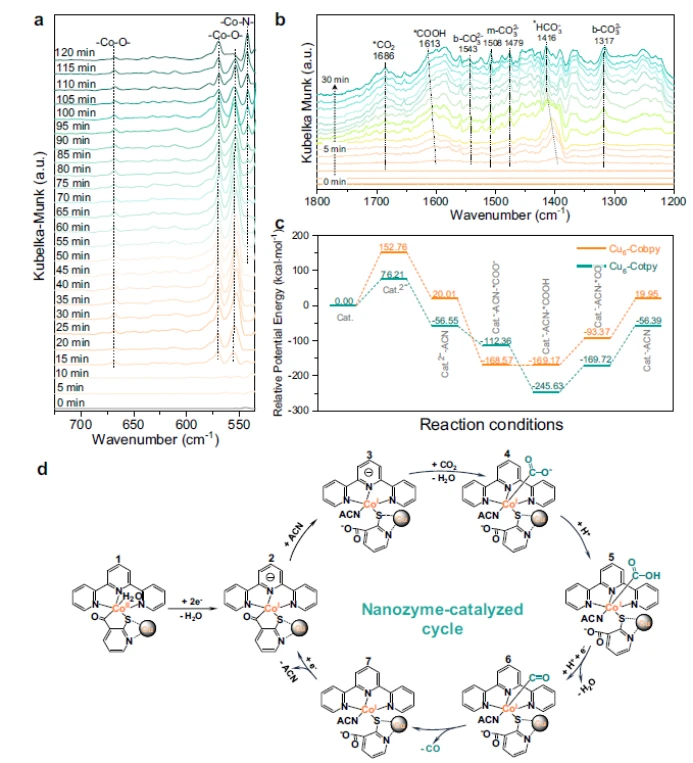Nature子刊：一种模拟自然光合作用，CO2还原的簇-纳米酶-辅酶系统 - 哔哩哔哩