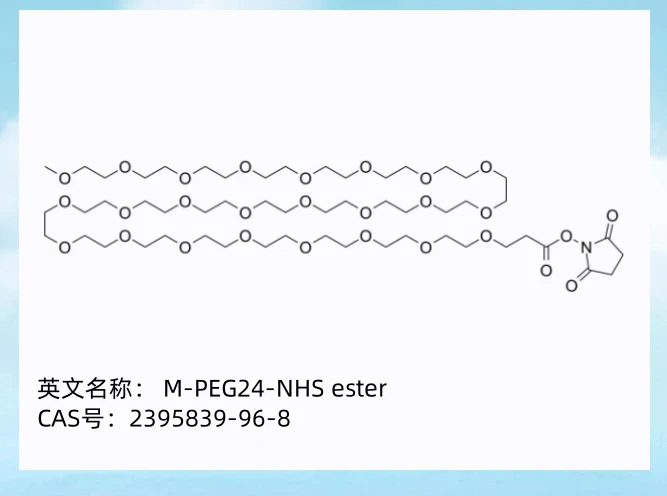 实验党必备！M-PEG24-NHS ester的溶解方法“快速上手攻略” - 哔哩哔哩