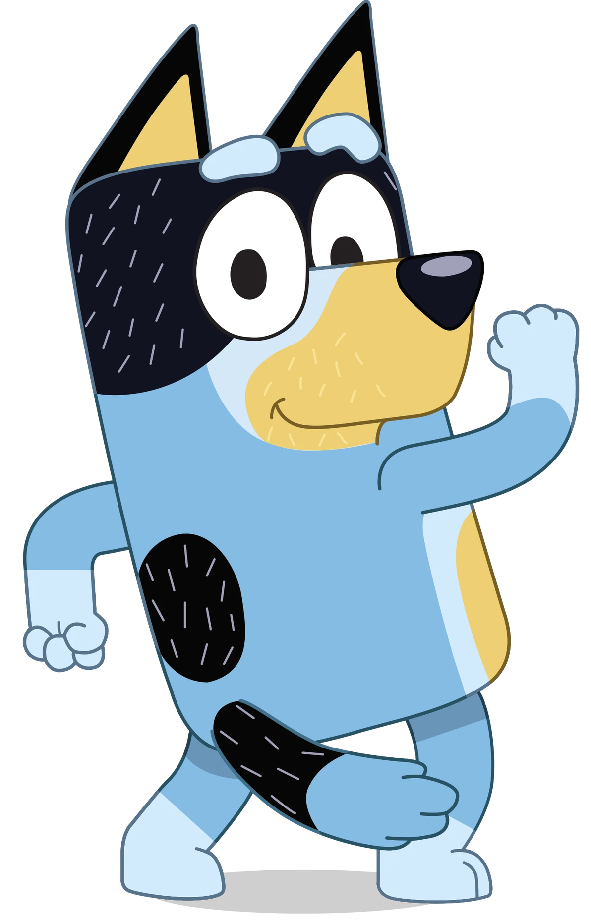 《布鲁伊Bluey》人物大集合！ - 哔哩哔哩