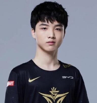 前RNG、V5、NIP打野小龙堡宣布退役 - 哔哩哔哩