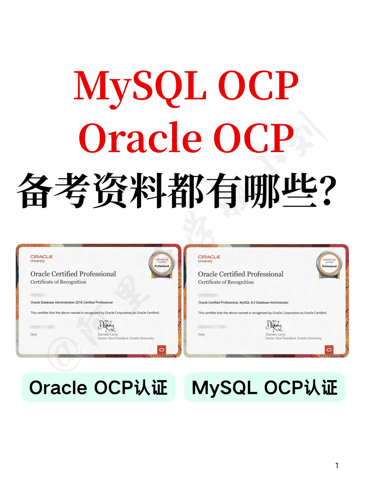 MySQL OCP认证和Oracle OCP认证分别是什么？ - 哔哩哔哩