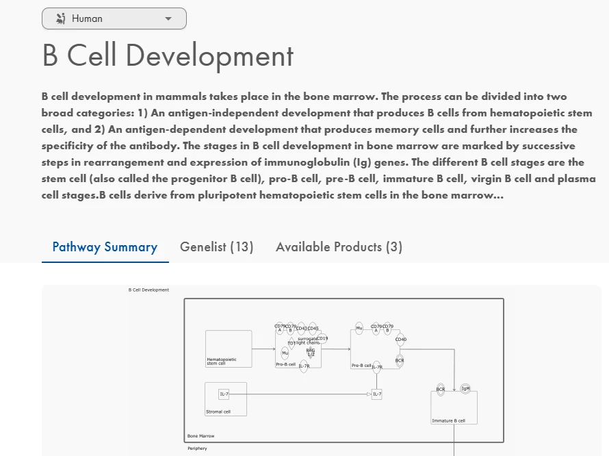 超实用盘点：11个信号通路数据库及6个通路可视化画图神器 - 哔哩哔哩