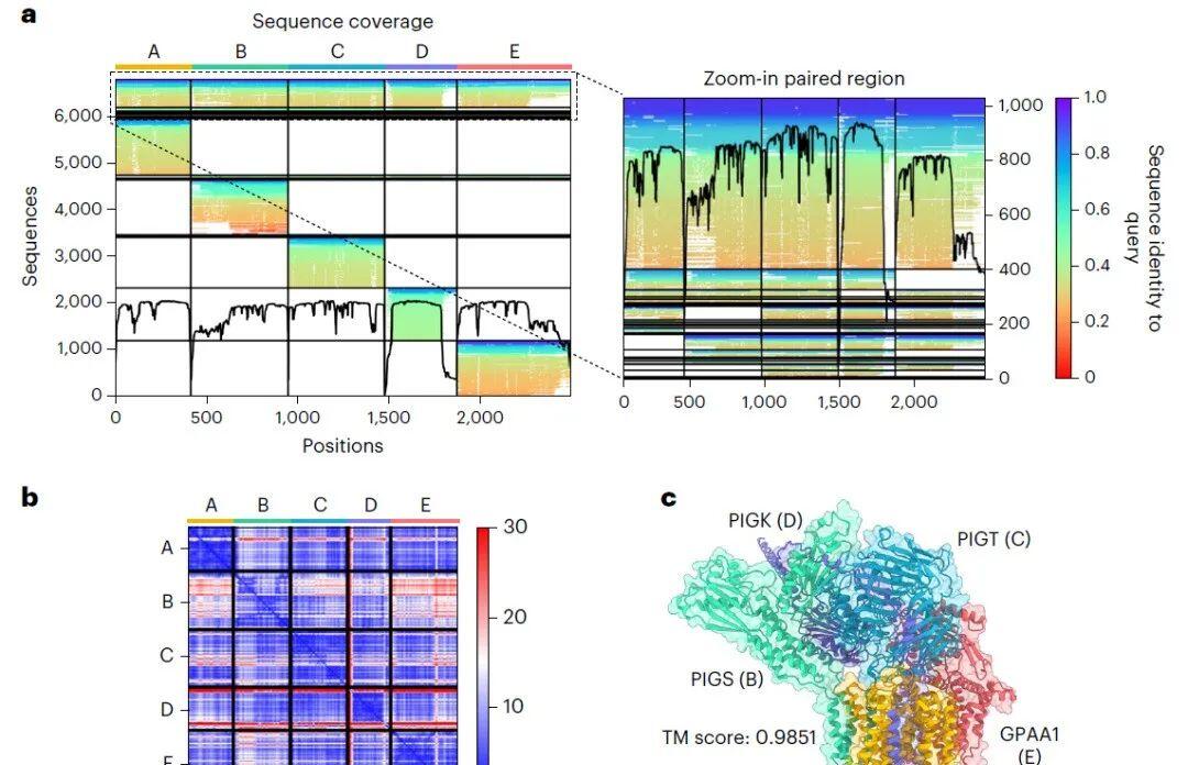 NatProtoc最新| ColabFold：让蛋白质结构预测触手可及 - 哔哩哔哩