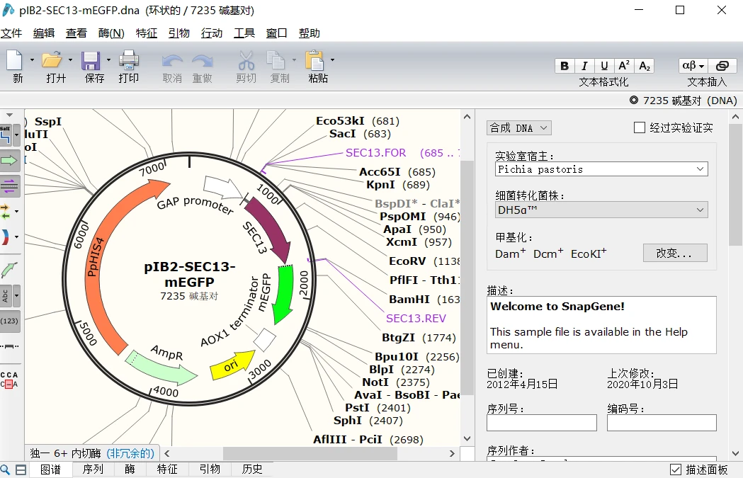 SnapGene6.0.2中文版安装教程 - 哔哩哔哩