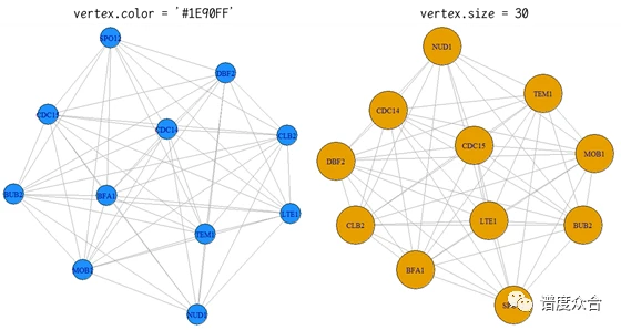 走进R语言丨系列6：扩展绘图_网络图 - 哔哩哔哩