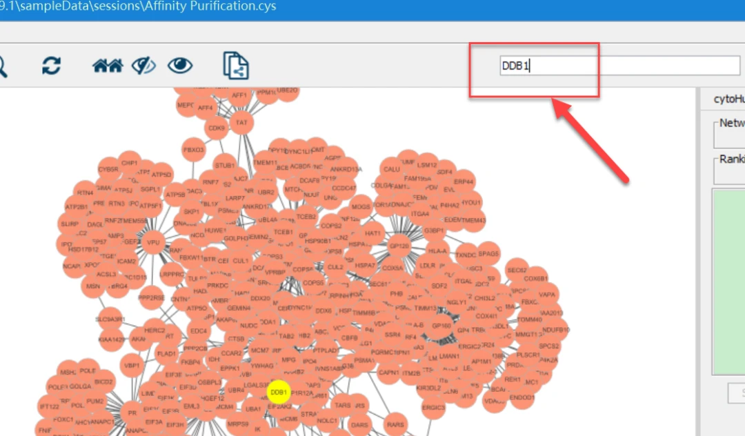 cytoscape如何将node置于顶层 - 哔哩哔哩
