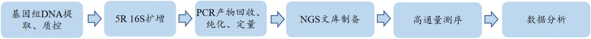 肿瘤微生态研究利器——5R 16S rDNA测序 - 哔哩哔哩