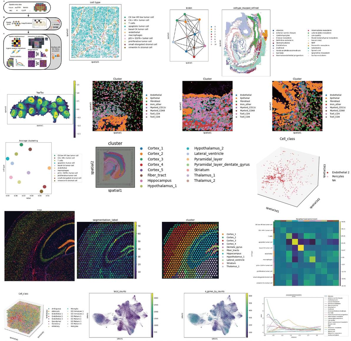 学会这些包，空转分析一网打尽！Stereopy、Squidpy、Seurat、S - 哔哩哔哩