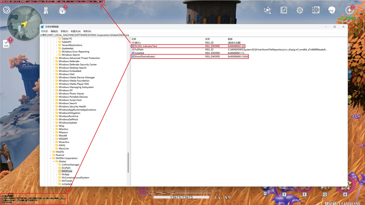 英伟达DLSS indicator(指示器)设置方法 - 哔哩哔哩