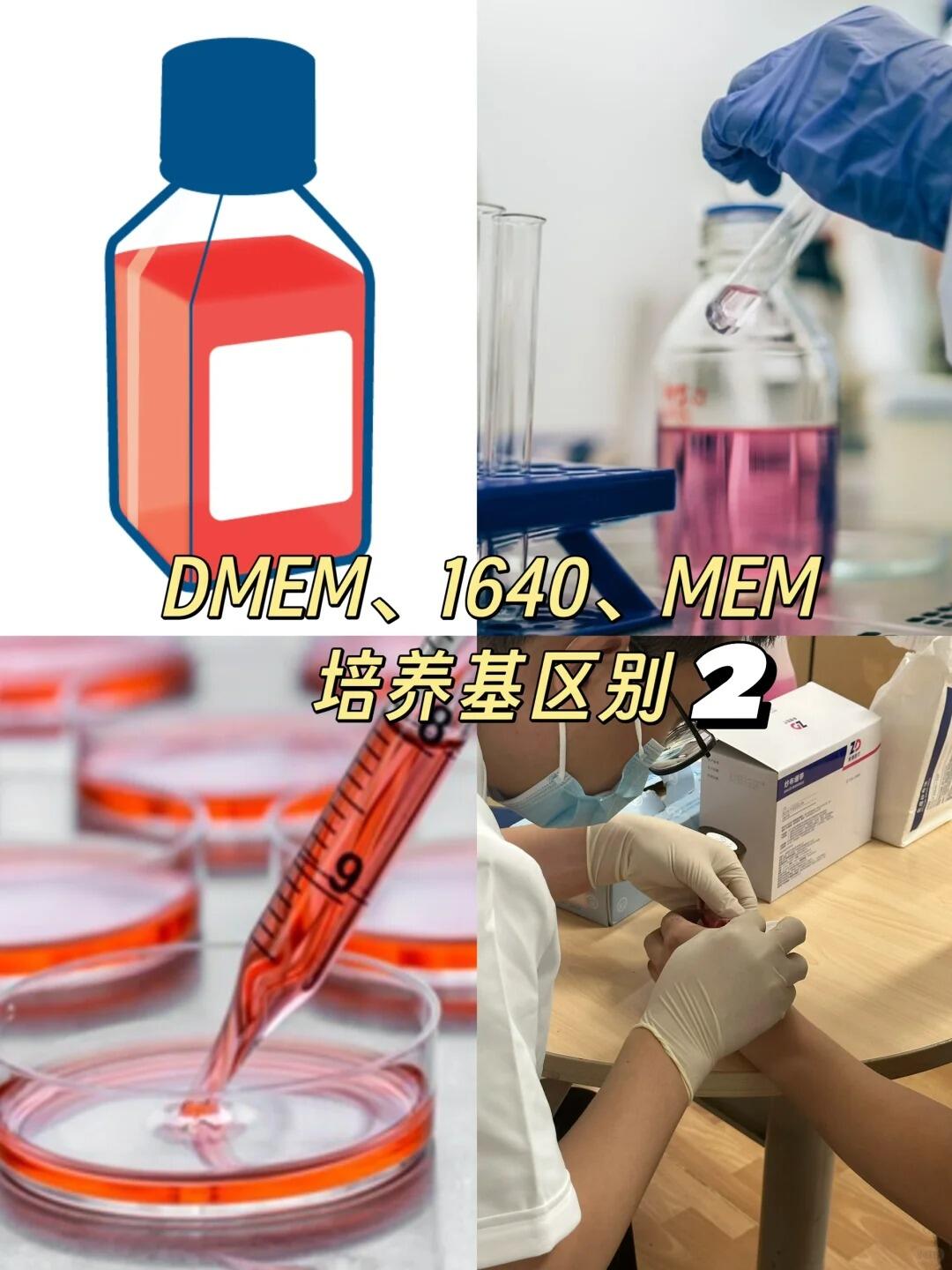 细胞培养｜DMEM、1640、MEM 培养基区别2 - 哔哩哔哩