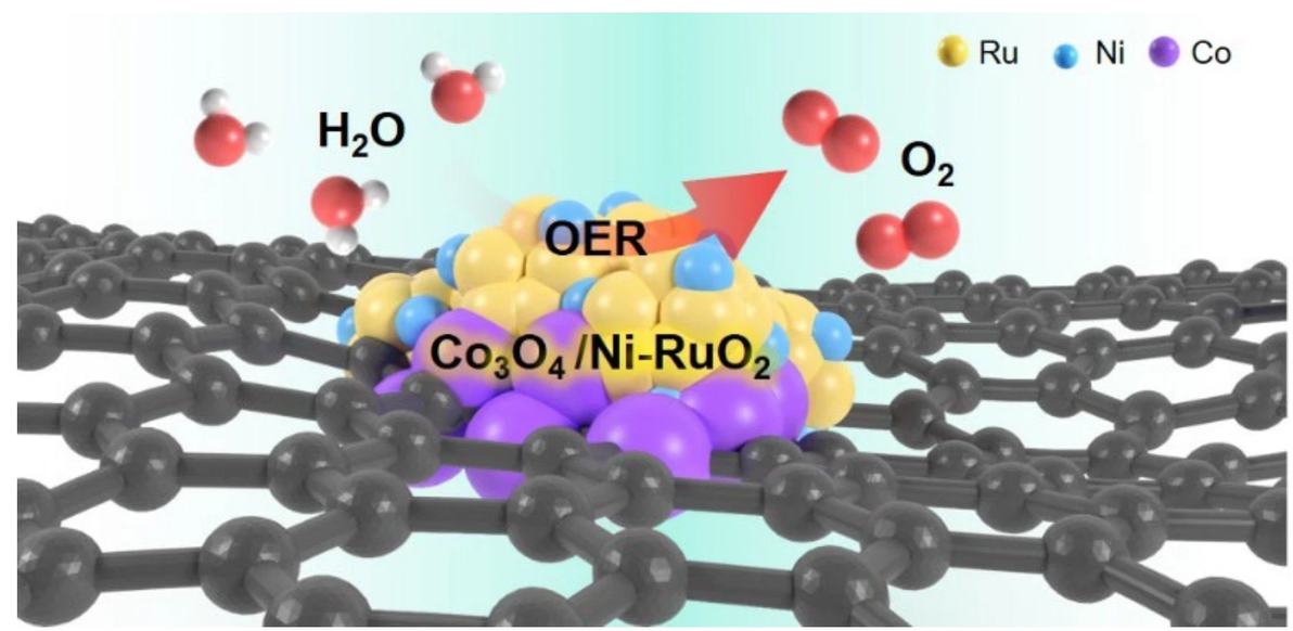 酸性OER最新Angew：RuO2基催化剂的界面工程和结构调控 - 哔哩哔哩