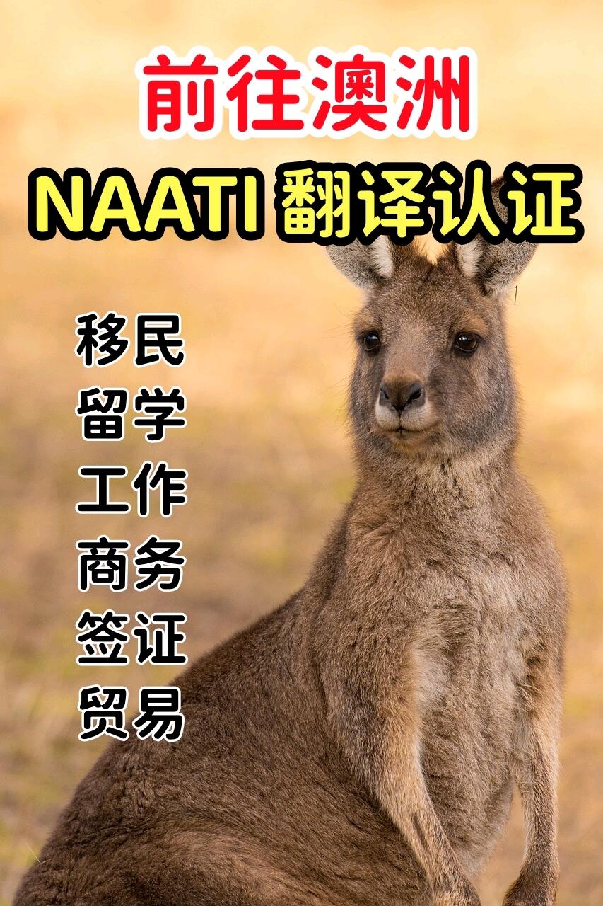 naati身份证翻译认证指南（签证/留学申请） - 哔哩哔哩