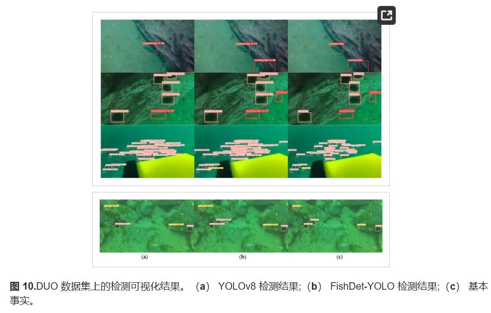 狂发一区的YOLO，和Mamba是绝配！最新研究命中Nature，这泼天高分思路 - 哔哩哔哩