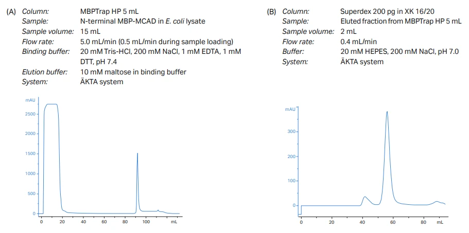 标签蛋白纯化之MBP篇 - 哔哩哔哩