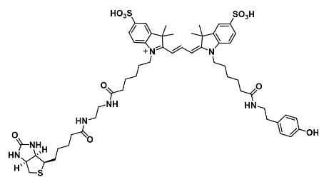 生物素-二磺酸-Cy3酪胺，广泛应用于生物分子标记、荧光成像、信号放大等领域 - 哔哩哔哩