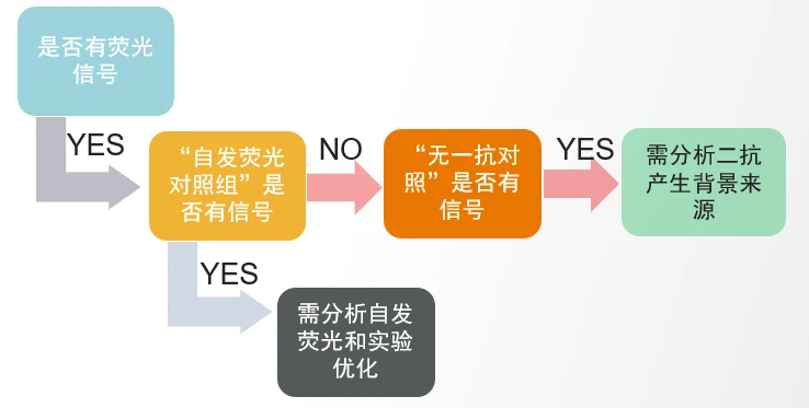 （6.14发布）IHC/ICC/IF/mIHC傻傻分不清楚？实验原理及全流程+常见问题详解！ - 哔哩哔哩