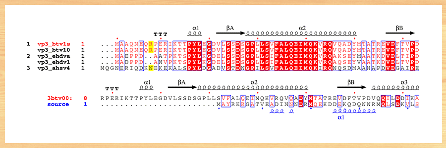 ESPript：美得令人心动的序列显示工具 - 哔哩哔哩